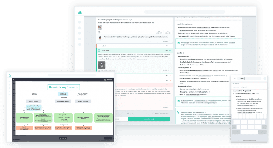 Download: Systematik der Bakterien | AMBOSS