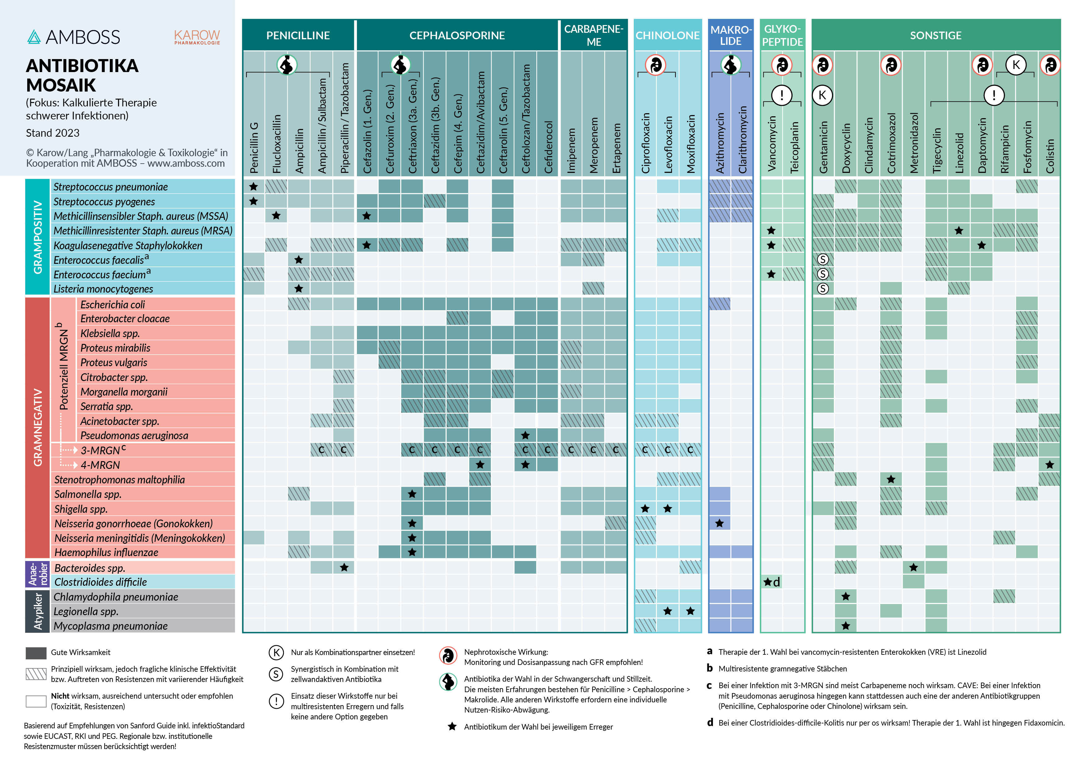Download: Antibiotika-Tabelle | AMBOSS