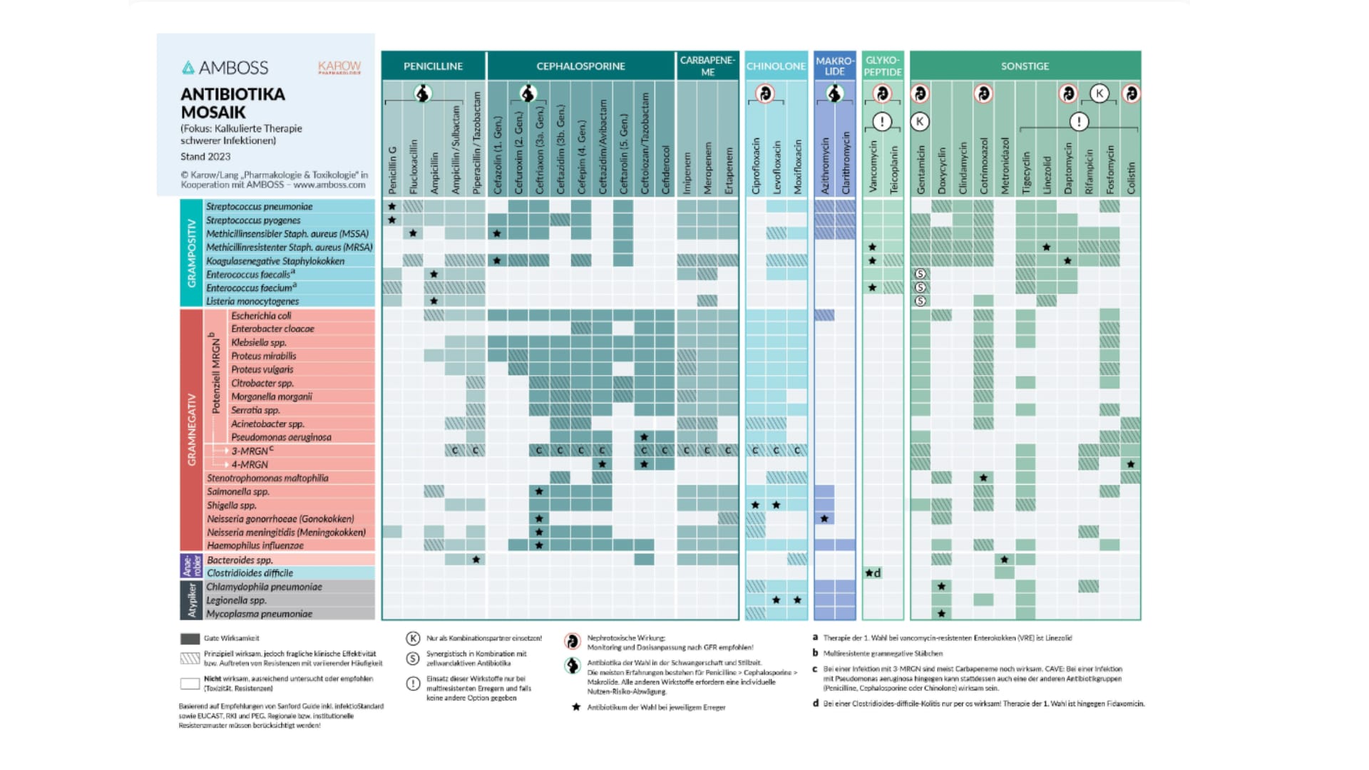 CME-Fortbildung: Antibiotikatherapie | AMBOSS