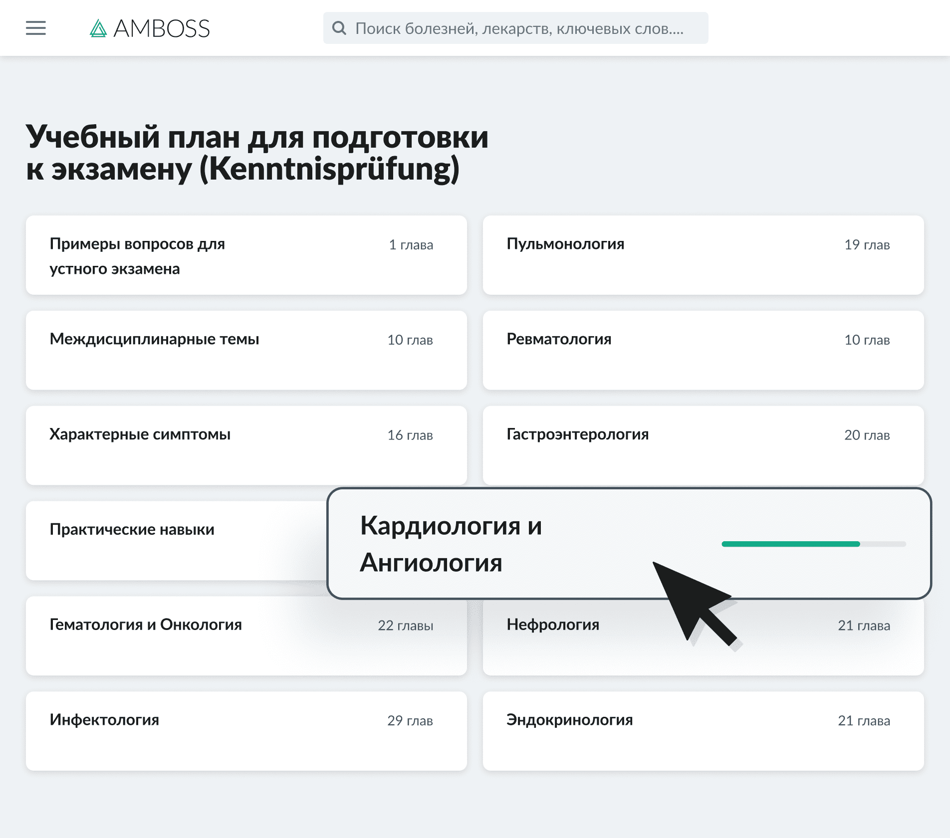 План обучения для проверки знаний (Kenntnisprüfung) | AMBOSS