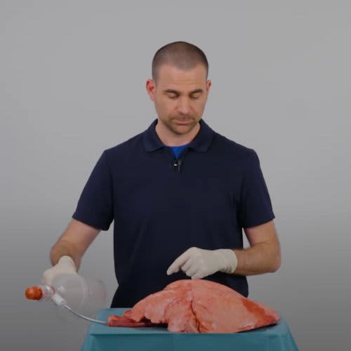 CME-Fortbildungspaket: Diagnostik-Duo | AMBOSS